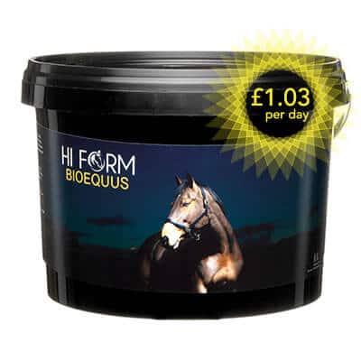 Hi Form BioEquus for Horses Gut Health - Hi Form Equine