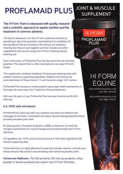 Hi Form Joint & Muscle Collection - Hi Form Equine - Premium Horse ...