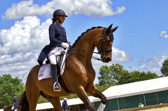 Roughage - Is Your Horse Eating Enough? - Hi Form Equine - Premium ...